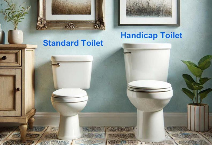 Find the Ideal Height for Handicap Toilets – simpleprojectus